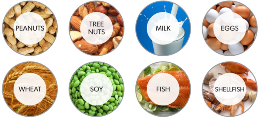 Special Diets/Food Allergies – School Food and Nutrition Services